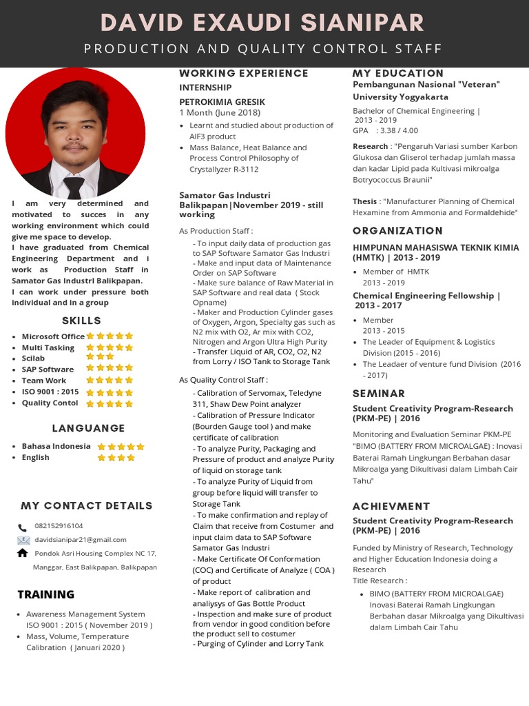 David Exaudi Sianipar'Curriculum Vitae | PDF | Argon | Gases