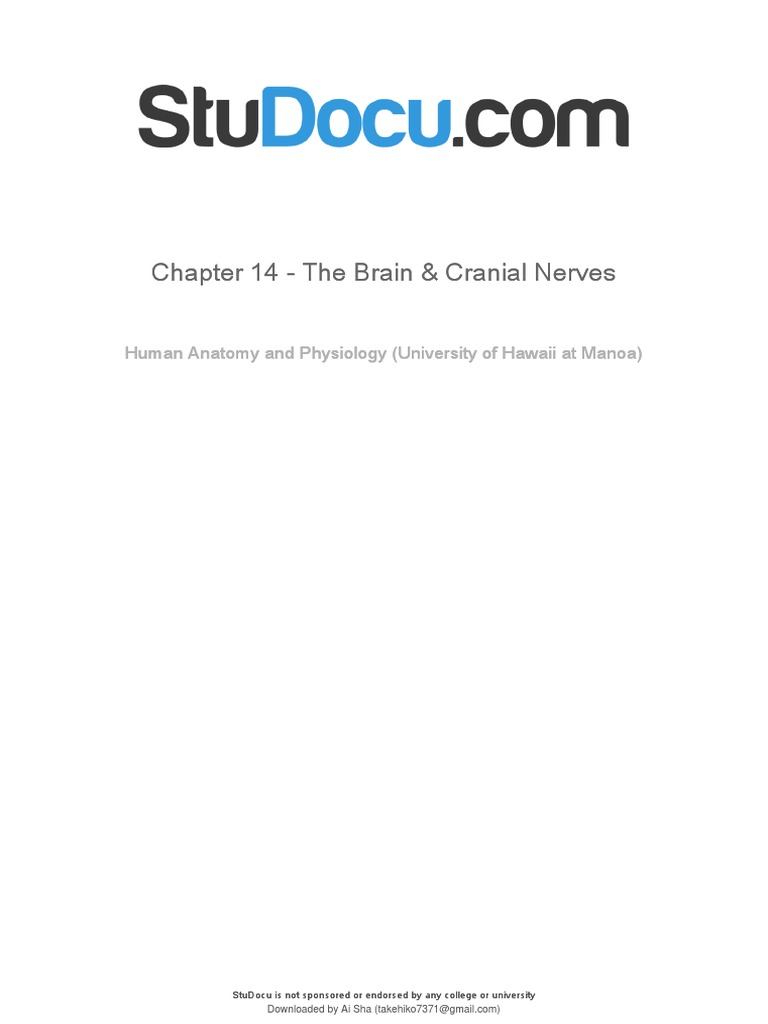 Chapter 14 The Brain Cranial Nerves2 | PDF | Cerebrospinal Fluid ...
