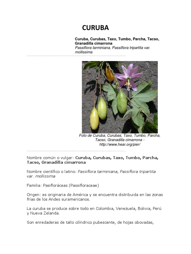 Cultivo y características de la curuba | PDF | Organismos | Plantas