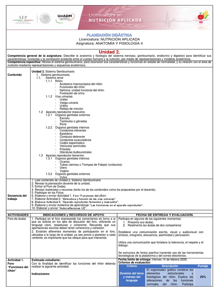 AFI2 U2 PlaneacionDidactica KaSL | PDF | Sistema reproductivo | Sistema urinario