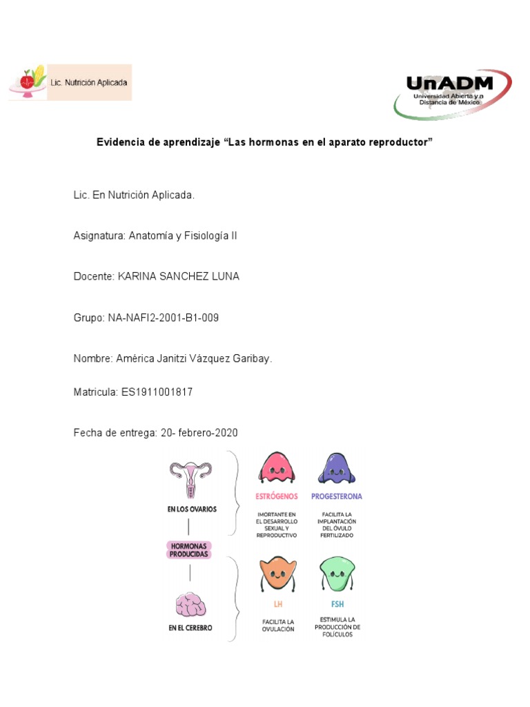 Afi2 U2 Ea Ajvg | PDF | Sistema reproductivo | La sexualidad humana