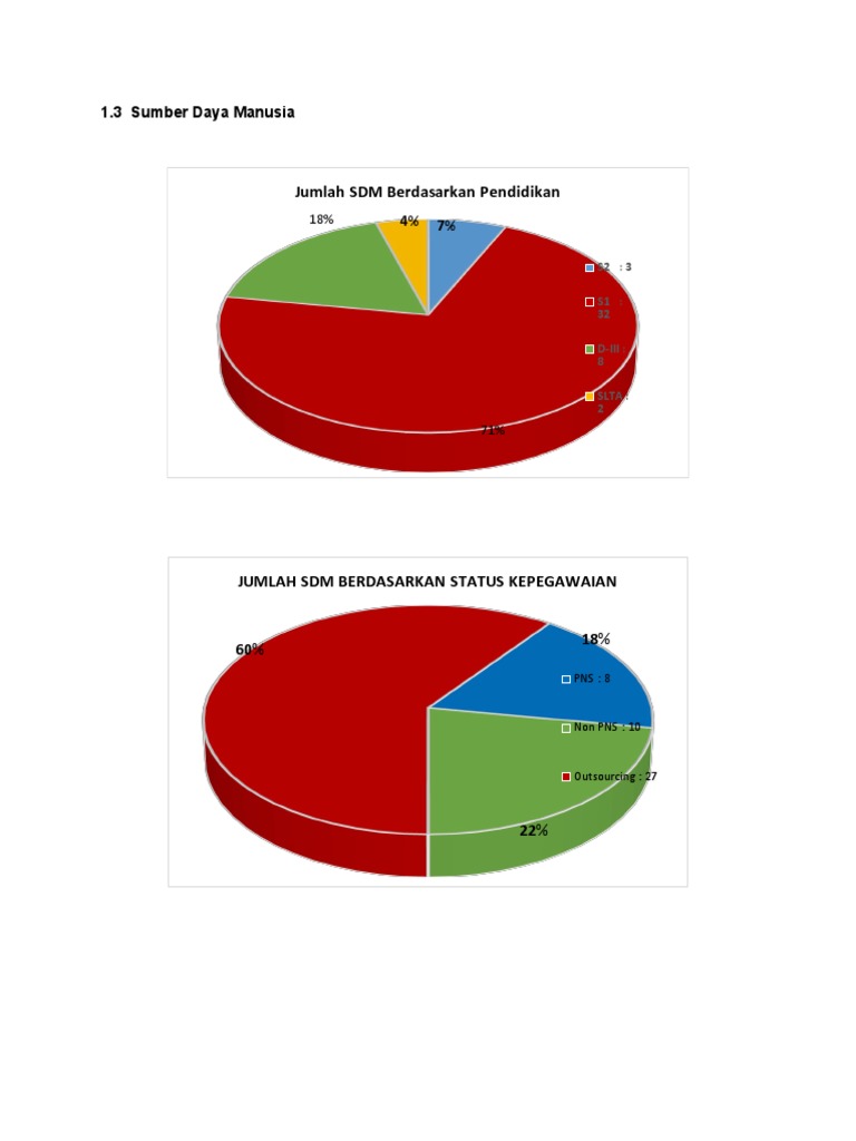 Pie Chart SDM Humas | PDF