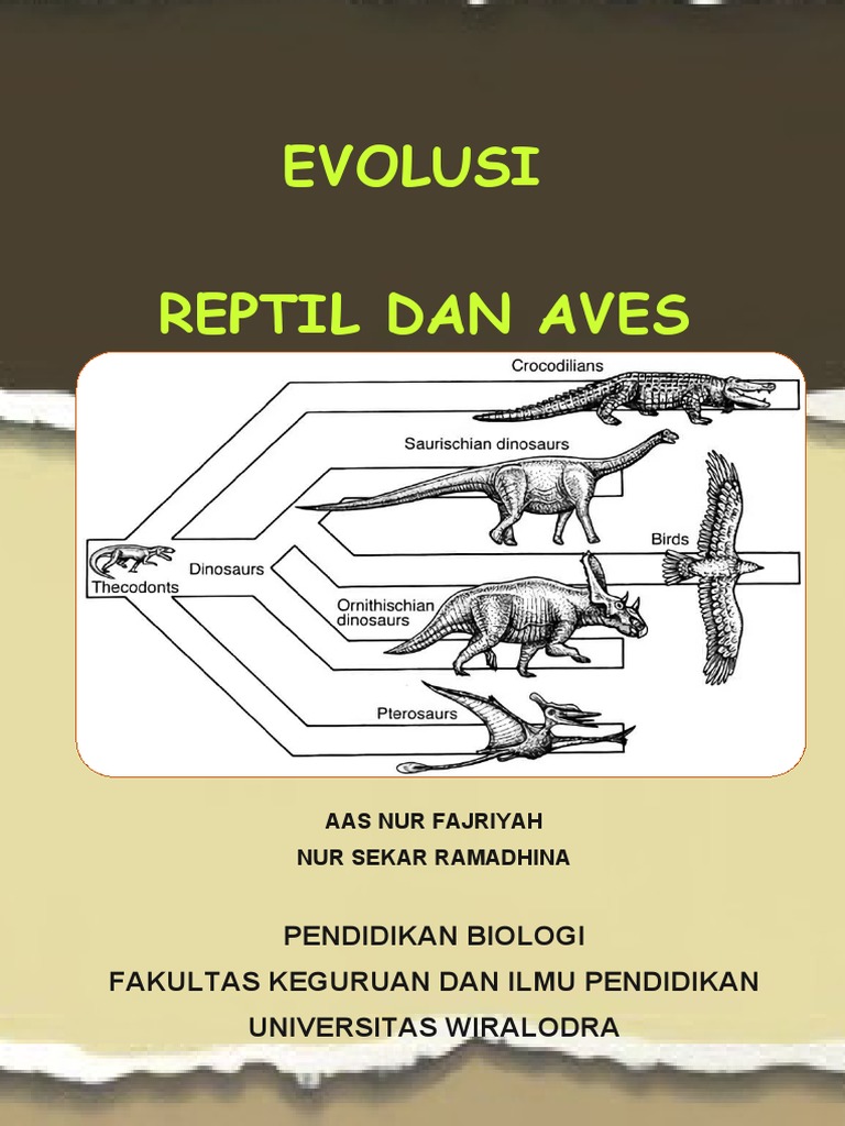 Tugas Buku Evolusi | PDF