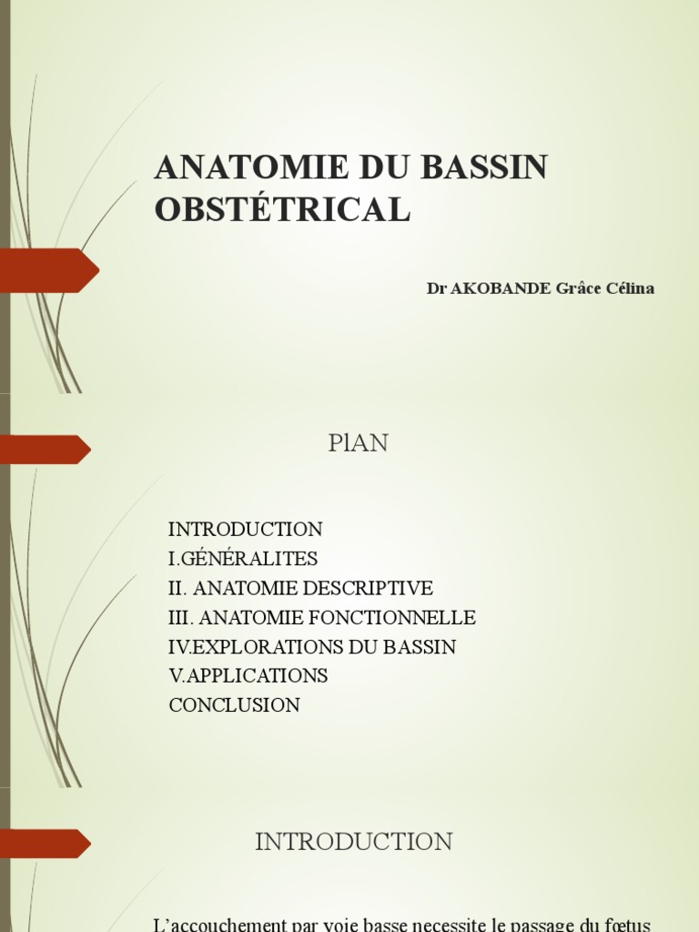 Anatomie du Bassin Obstétrical | PDF | Bassin (anatomie) | Appareil ...