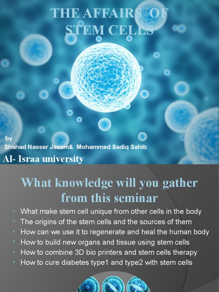 Introduction To The Concept of Stem Cells | Download Free PDF | Stem ...