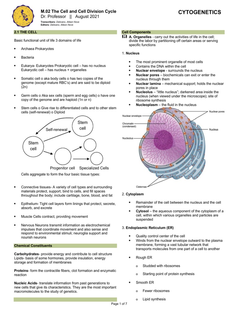 M.02 The Cell and Cell Division Cycle | PDF | Meiosis | Mitosis