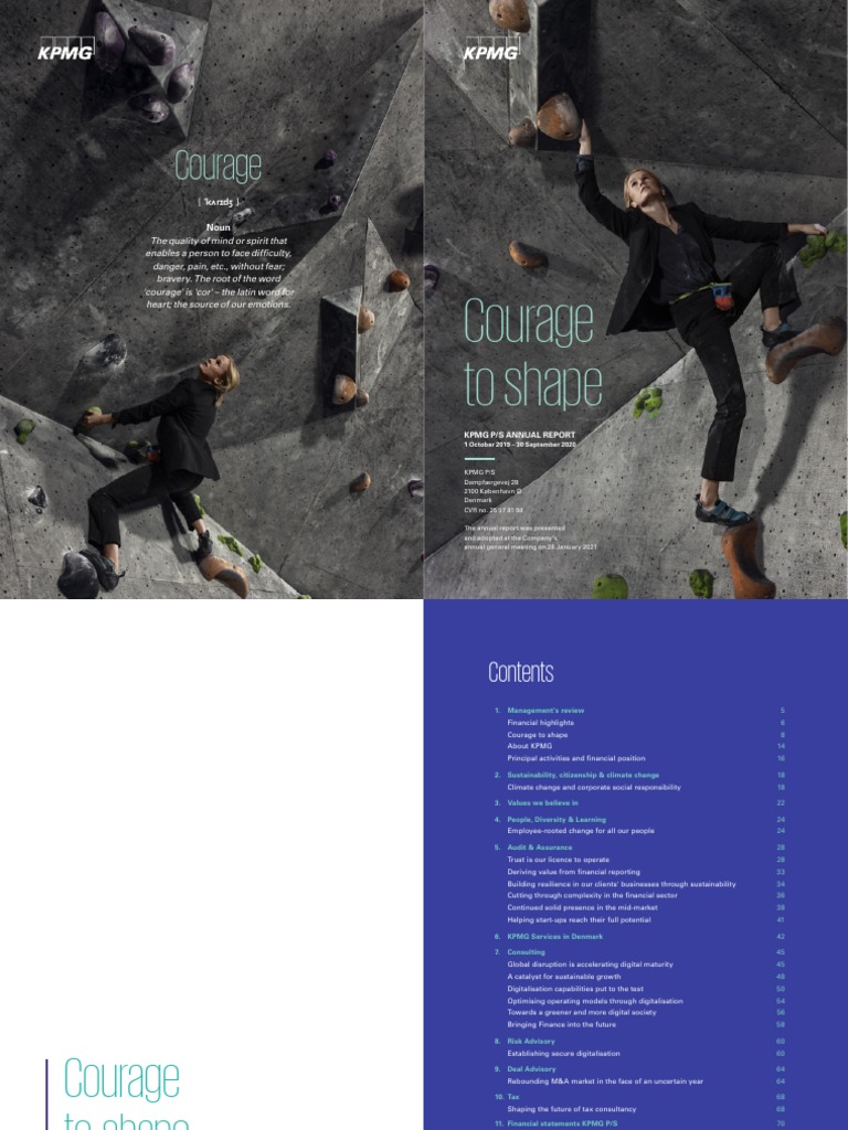 KPMG Annual Report 2020 Web | PDF | Sustainability | Risk