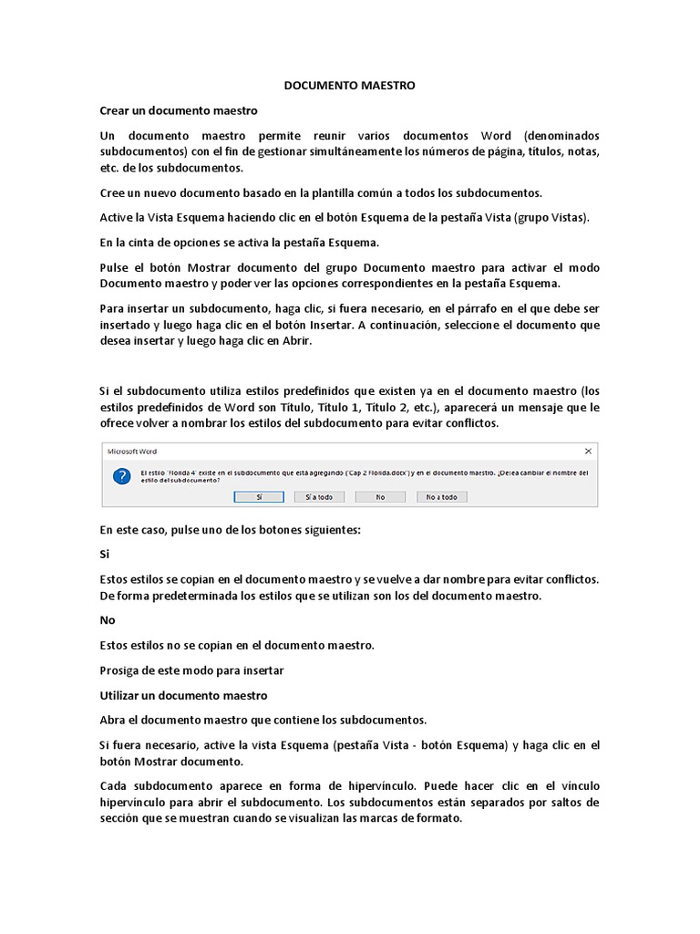 Documento Maestro | PDF | Informática | Software