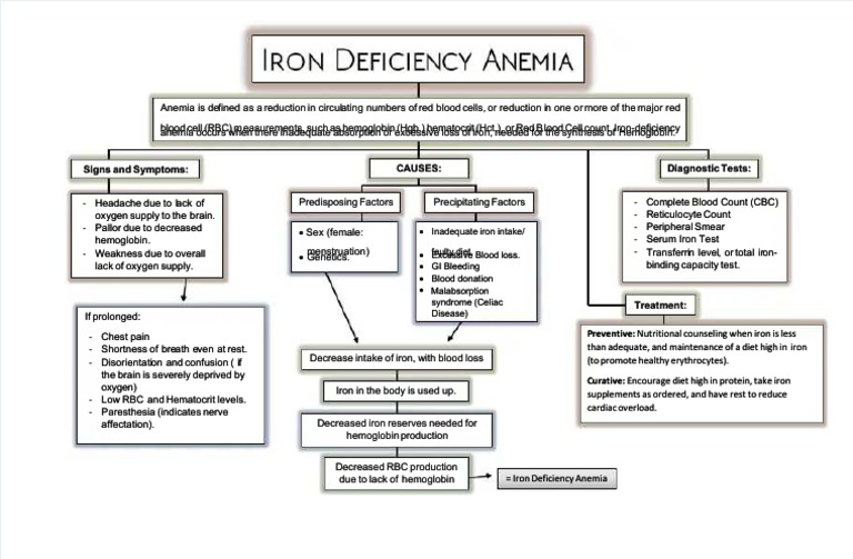 PDF Anemia Concept Map0000 | PDF | Anemia | Red Blood Cell