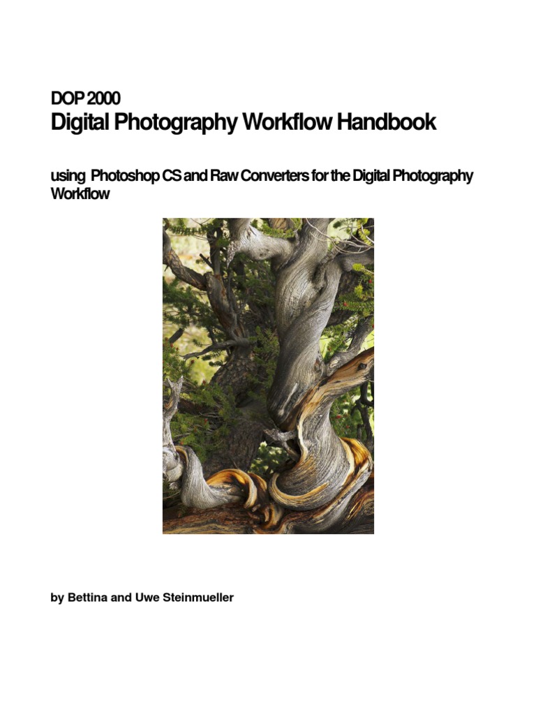 Adobe Photoshop Digital Photography | PDF