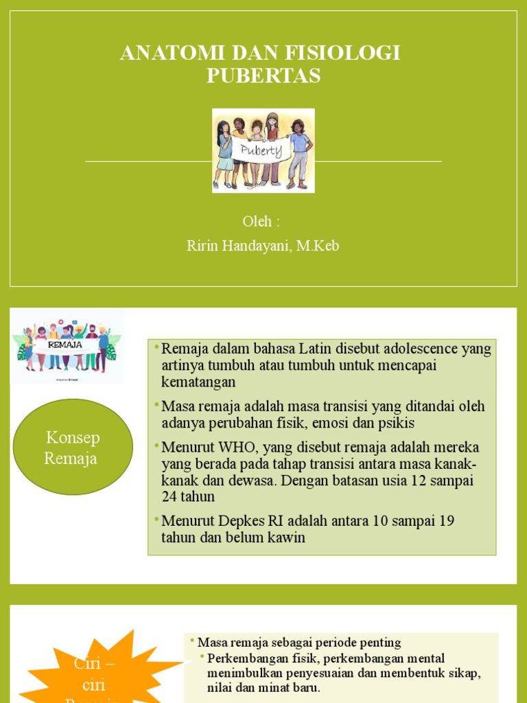 Anatomi Dan Fisiologi PUBERTAS | PDF