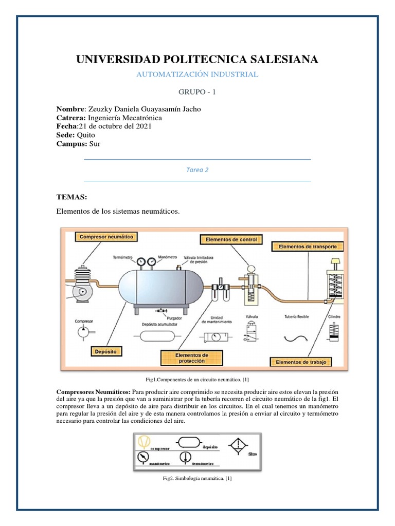 Elementos Neumaticos | PDF | Neumática | Presión