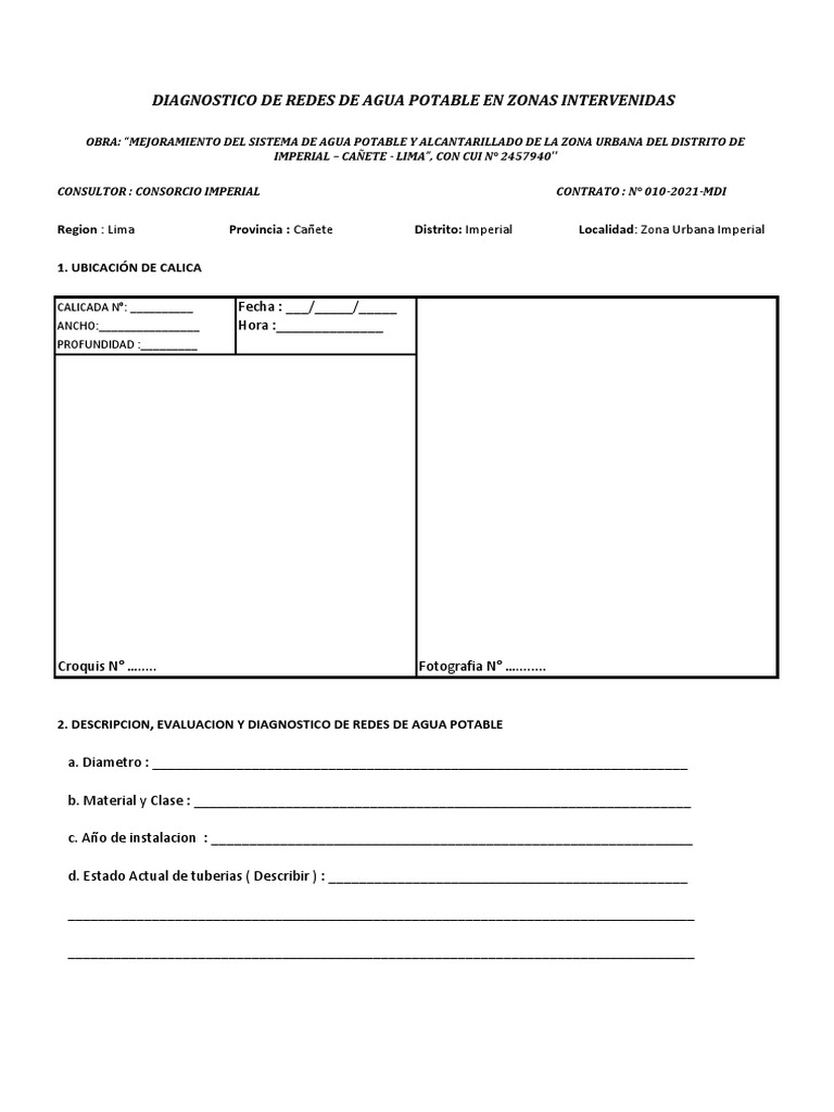 Formato para Diagnostico | PDF