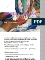 Panduan Seven Jumps Tutorial Om 2021 | PDF