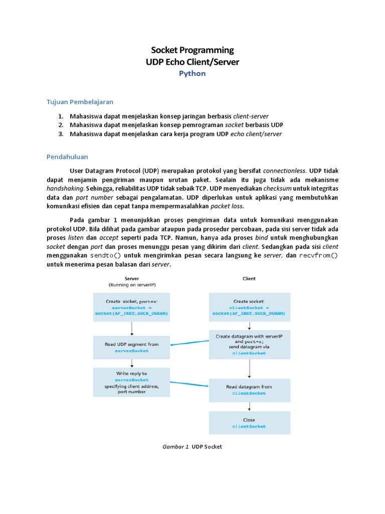 Praktikum 7 - Socket Programming - UDPEchoServer | PDF