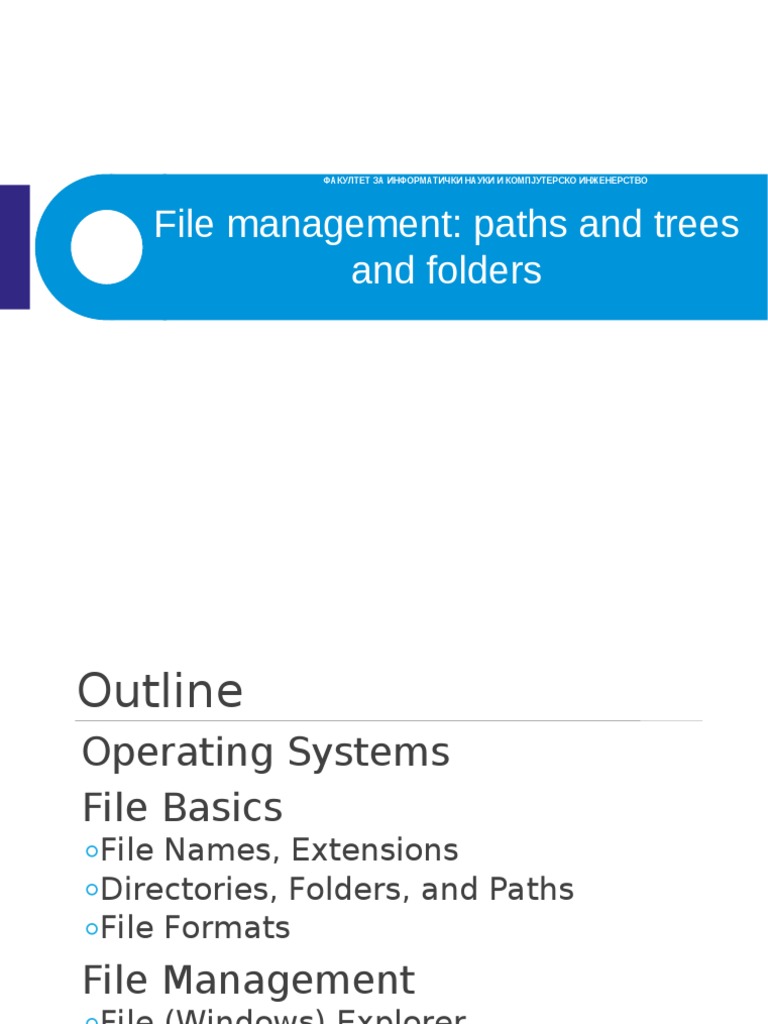 File Management: Paths and Trees and Folders | PDF | Computer File | Zip (File Format)