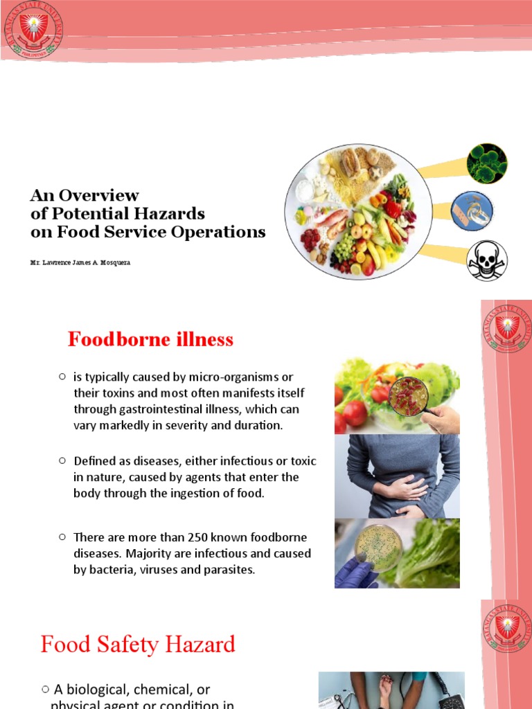 Chapter 3 An Overview | PDF | Foodborne Illness | Foods