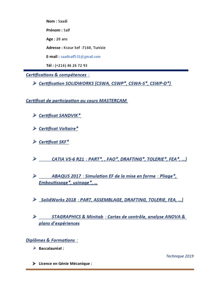 Saif CV fr2 | PDF