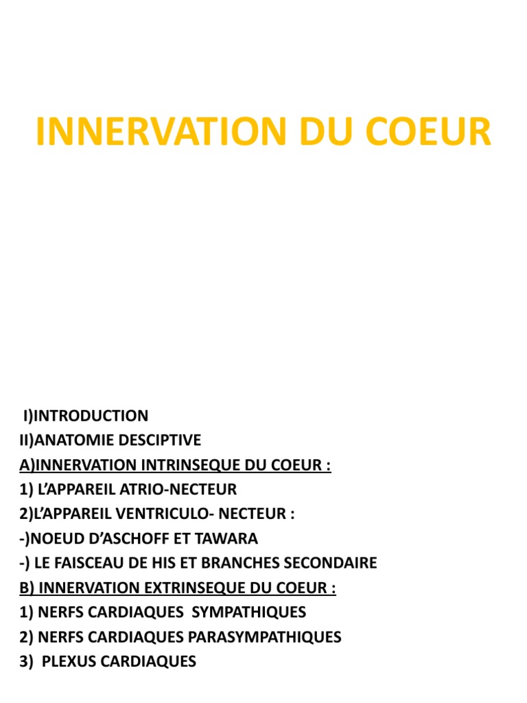 09 Innervation Du Coeur | PDF | Aorte | Cœur