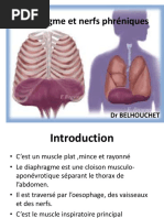Anatomie de la Loge Rénale et Pédicule | PDF | Péritoine | Rein
