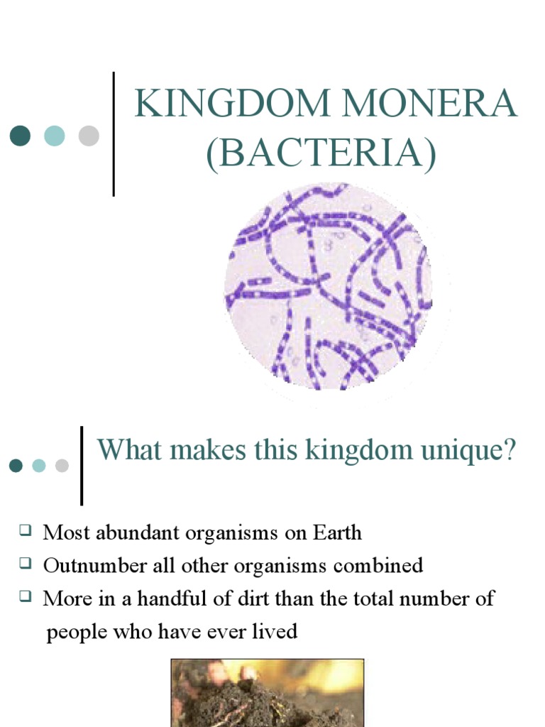 Kingdom Monera (Bahasa Version) | PDF | Bacteria | Archaea