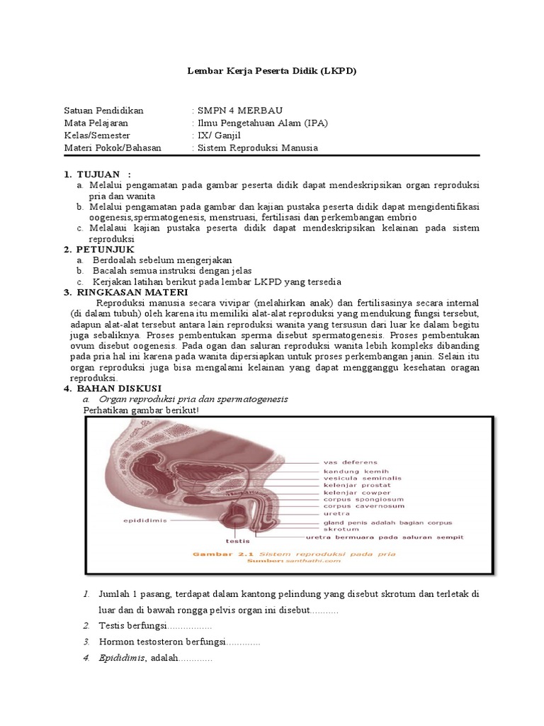 LKPD Sistem Reproduksi Manusia | PDF