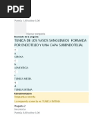 Anatomía y Fisiología Anorrectal | PDF | Recto | Sistema digestivo