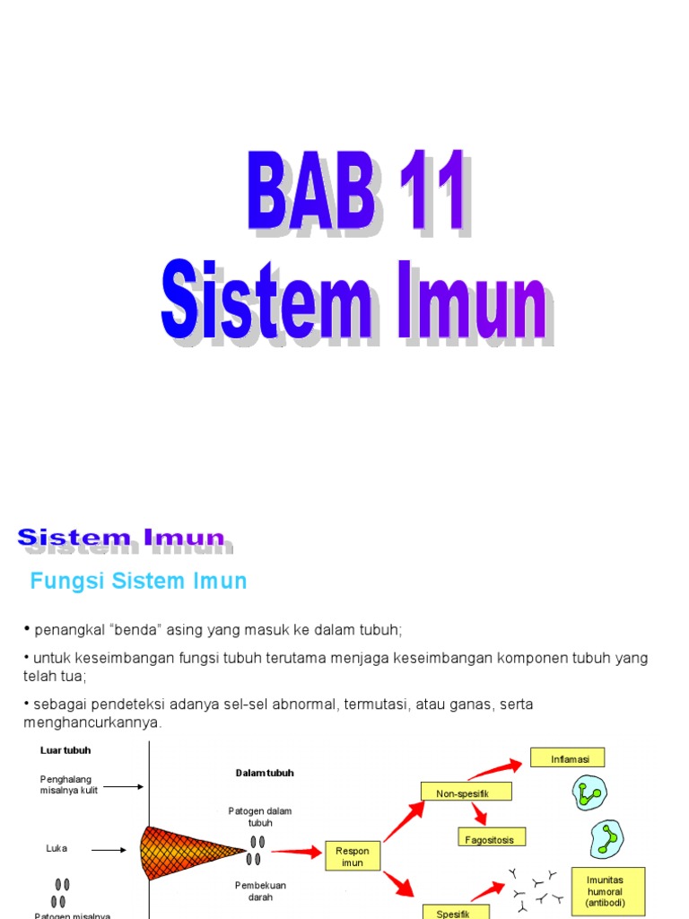 Bab 11 (Sistem Imun) | PDF