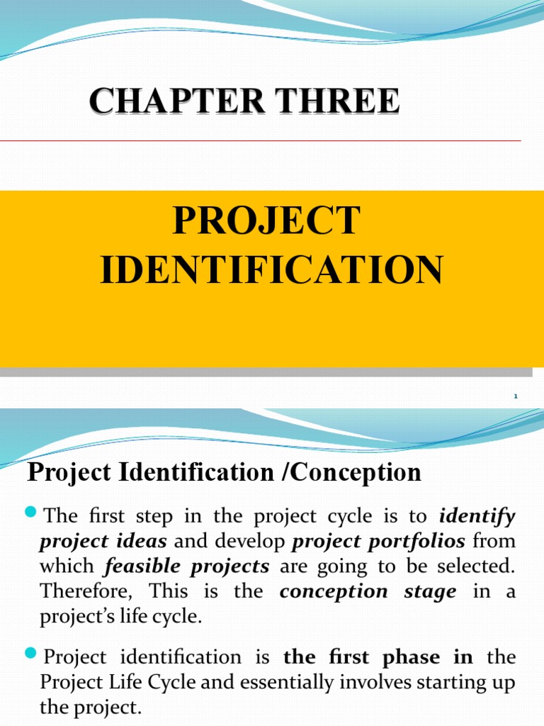 Project Identification Techniques | PDF | Swot Analysis | Feasibility Study