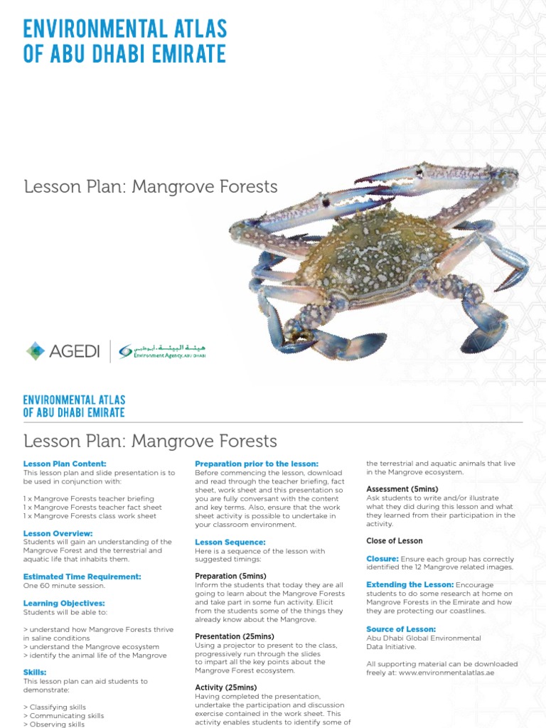 Lesson Plan: Mangrove Forests | PDF | Mangrove | Ecoregions