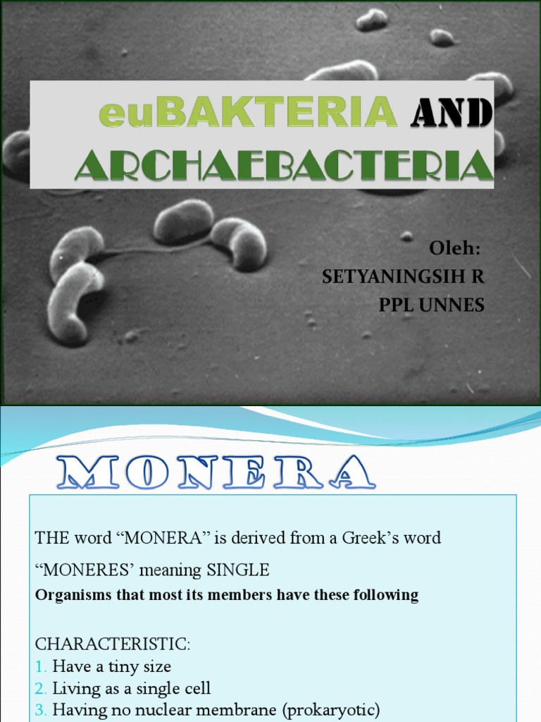 Bacteria and Archaebacteria | PDF | Archaea | Genetics