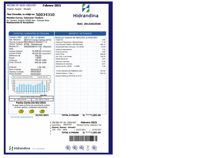 Recibo de Luz Peruano Con Deuda | PDF | Electricidad | Energia electrica