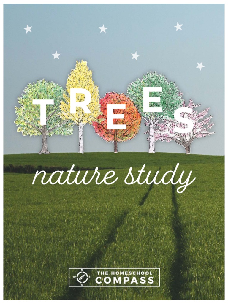 Tree Printable | PDF | Plants | Botany