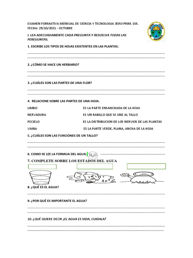 Examen Mensual de Ciencia 3° Primaria | PDF