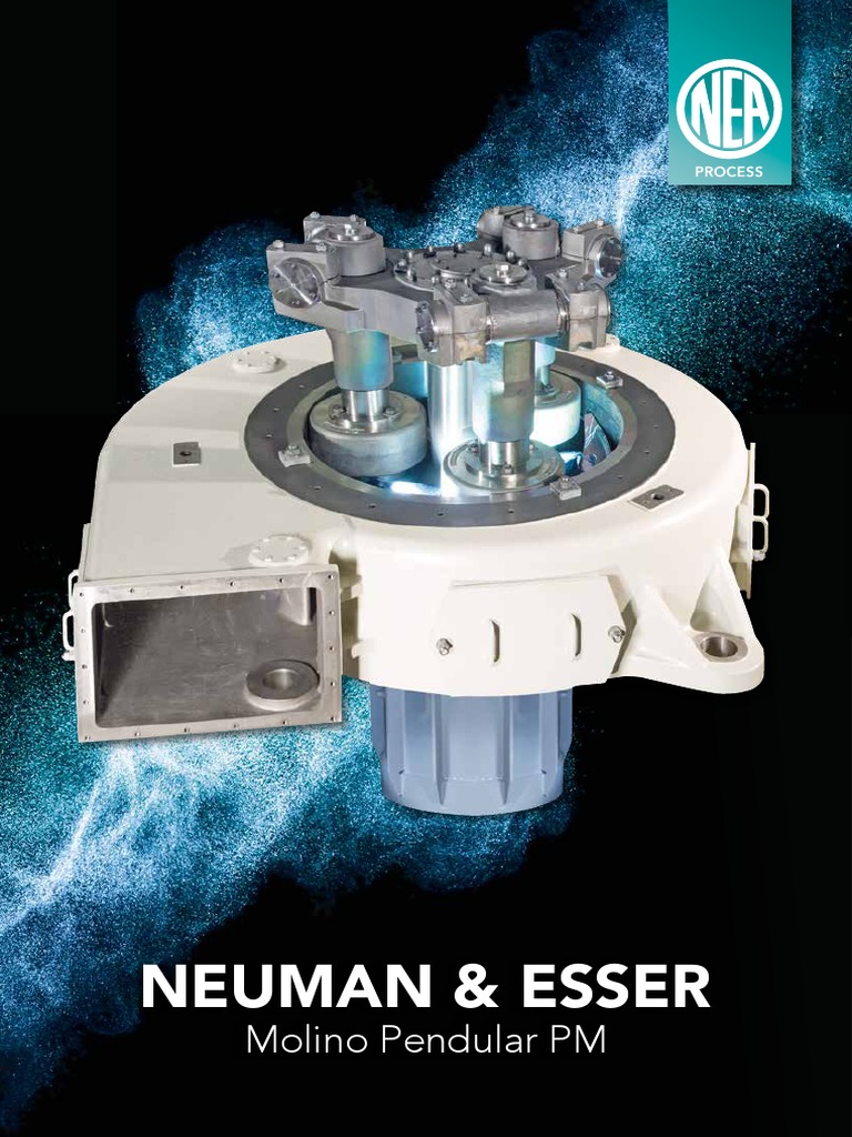 Neuman&esser - PM | PDF | Naturaleza | Ciencias fisicas
