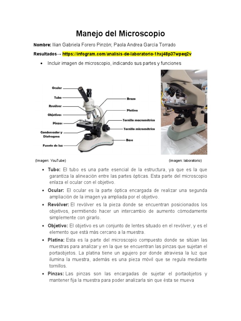 Manejo Del Microscopio | PDF | Fluorescencia | Electrón