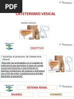 Cistoclisis: Técnica y Cuidados Esenciales | PDF | Especialidades ...