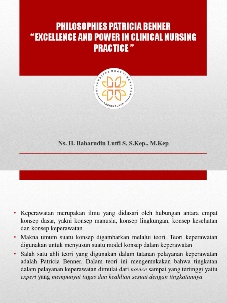 Patricia Benner | PDF