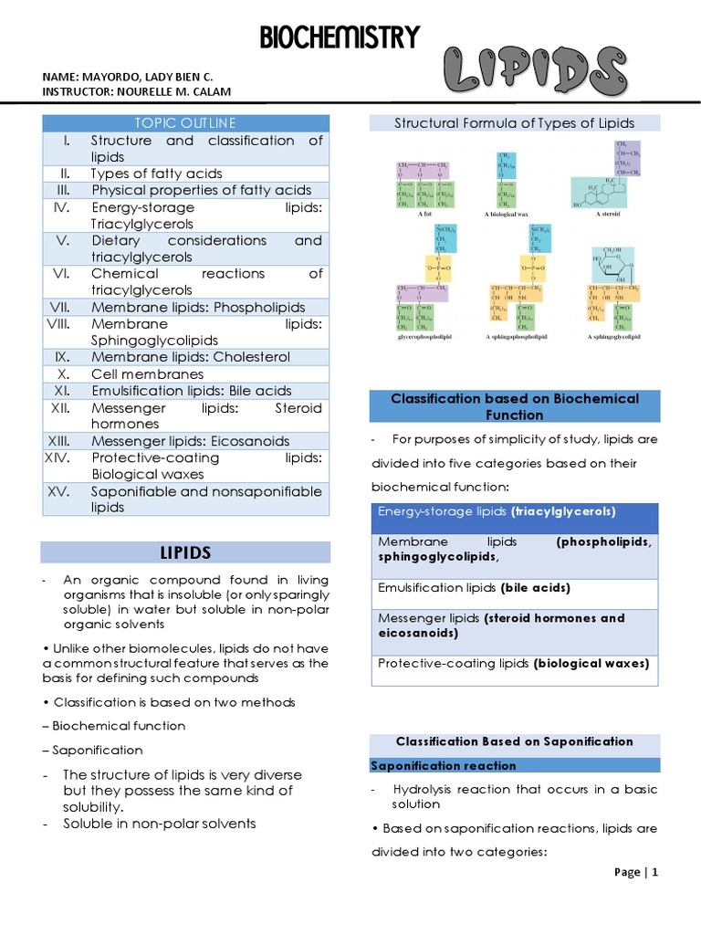 Lipids | PDF | Fatty Acid | Triglyceride