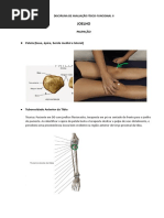 PNF - Kabat | PDF | Músculo esquelético | Neurociência