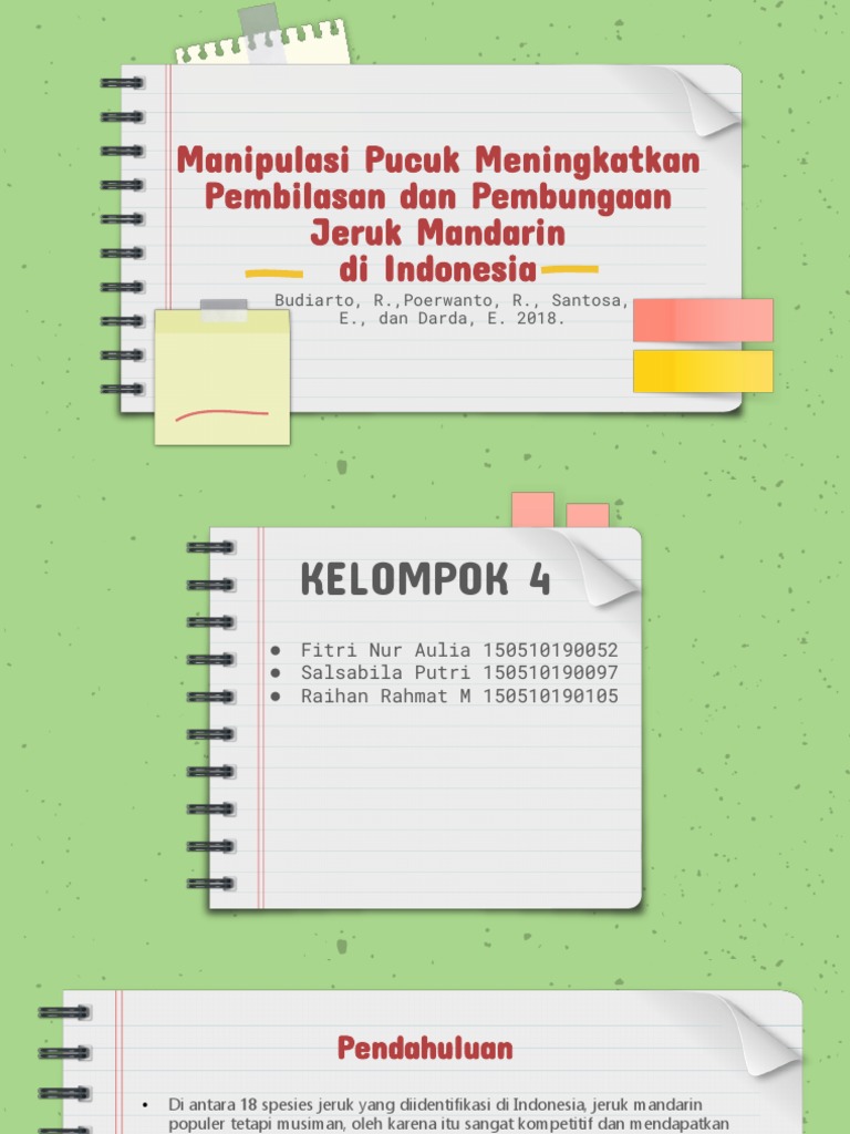 Kelas B - Kelompok 4 - PPT Jeruk | PDF