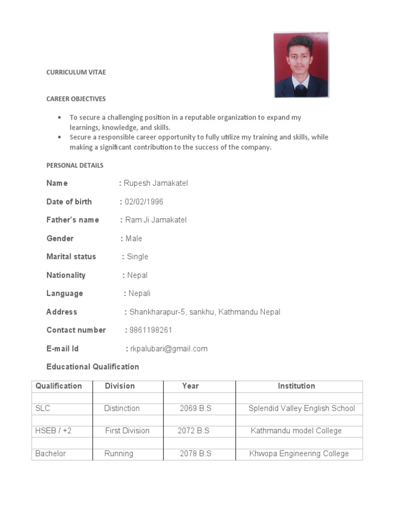Rupesh CV | PDF