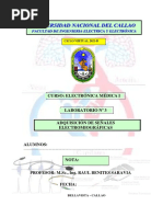 Las Uniones GAP | PDF | Músculo | Contracción muscular