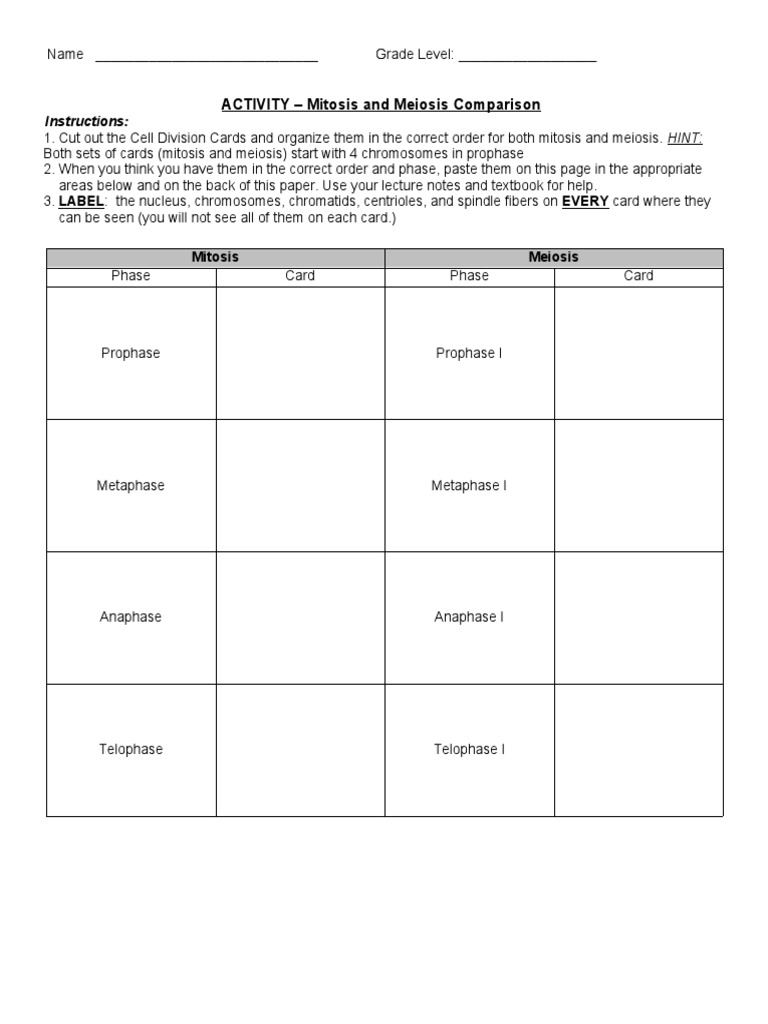 Mitosis and Meiosis Comparison Activity | PDF