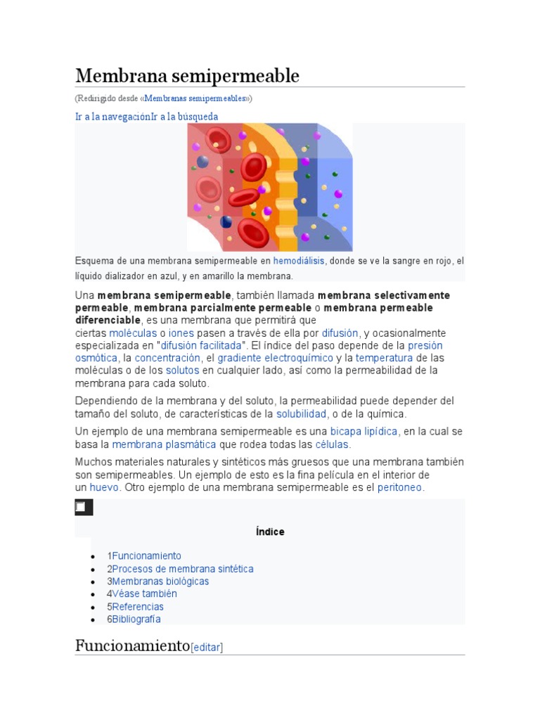 Membrana Semipermeable | PDF | Biología | Biología Celular