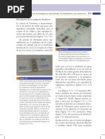 Alteraciones Morfológicas de Los Eritrocitos | PDF | Medicina CLINICA ...