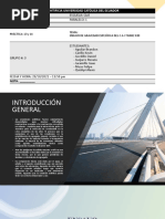 ASTM D 2041 (Gravedad Especifica Maxima Teorica en Mezclas Bituminosas ...