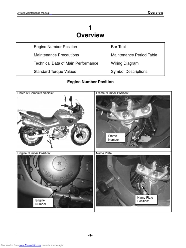 JH 600 | PDF | Screw | Ignition System