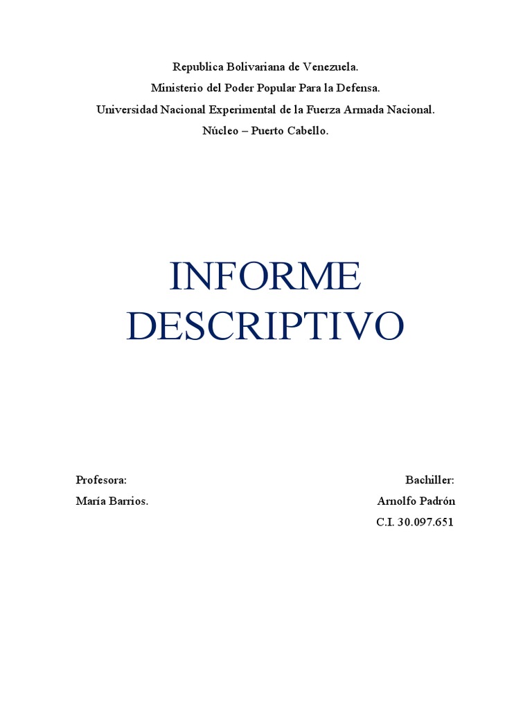 Informe Descriptivo | PDF | Ingeniería de Sistemas | Informática
