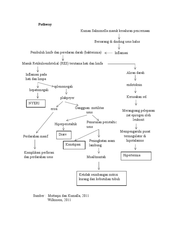 Pathway Patofisiologi Demam Tifoid | PDF